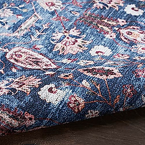 Nourison Brilliance Machine Washable Traditional Vintage Blue/Brick 7'10" x 9'10" Area -Rug, Easy -Cleaning, Non Shedding, Bed Room, Living Room, Dining Room, Kitchen (8x10)