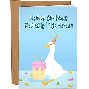 Sleazy Greetings Funny Birthday Card for Him Her | Happy Birthday Cards for Women Men | Silly Goose Birthday Card for Husband Wife | Happy Birthday You Silly Little Goose Card