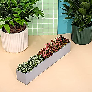 Ten-stone 14.5-Inch Grey Rectangle Concrete Succulent Planter Windowsill Boxes