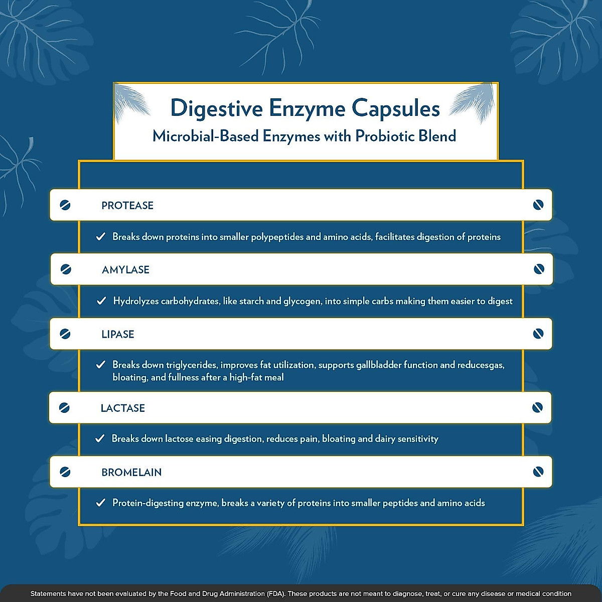 TERRA ORIGIN - Digestive Enzymes with Probiotics | Supports Healthy Digestion | Bromelain, Lactase, Amylase, Lipase | Made in The USA, Gluten-Free | 60 Servings
