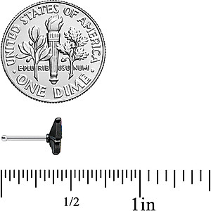 Body Candy Womens 20G 316L Steel Nose Ring Rainbow Butterfly Nose Stud Nose Bone Body Piercing Jewelry 1/4"