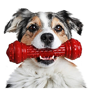 Pet Qwerks Bongo BarkBone - Nylon Dog Bone for Aggressive Chewers - Prime Rib Flavor - Large