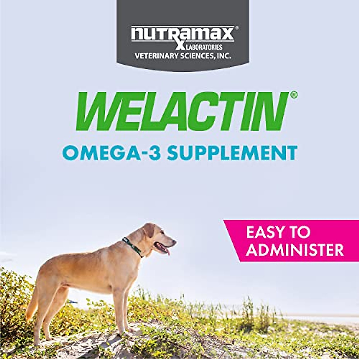 Nutramax Welactin Daily Omega-3 Supplement For Dogs, Skin & Coat Health Plus Overall Health, 60 Soft Chews