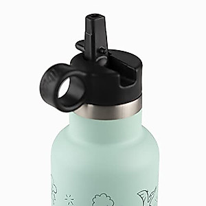 Citron - Stainless Steel Water Bottles, Insulated Metal Water Bottle- 12oz Thermal Water Bottle (Dino)