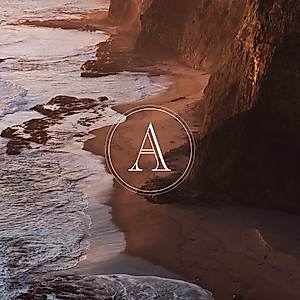 Archipelago Botanicals Botanico de Havana Soy Candle | Luxury Candle Hand-Poured with Premium Soy Wax Blend | Burns 55 Hours (5.8 oz)