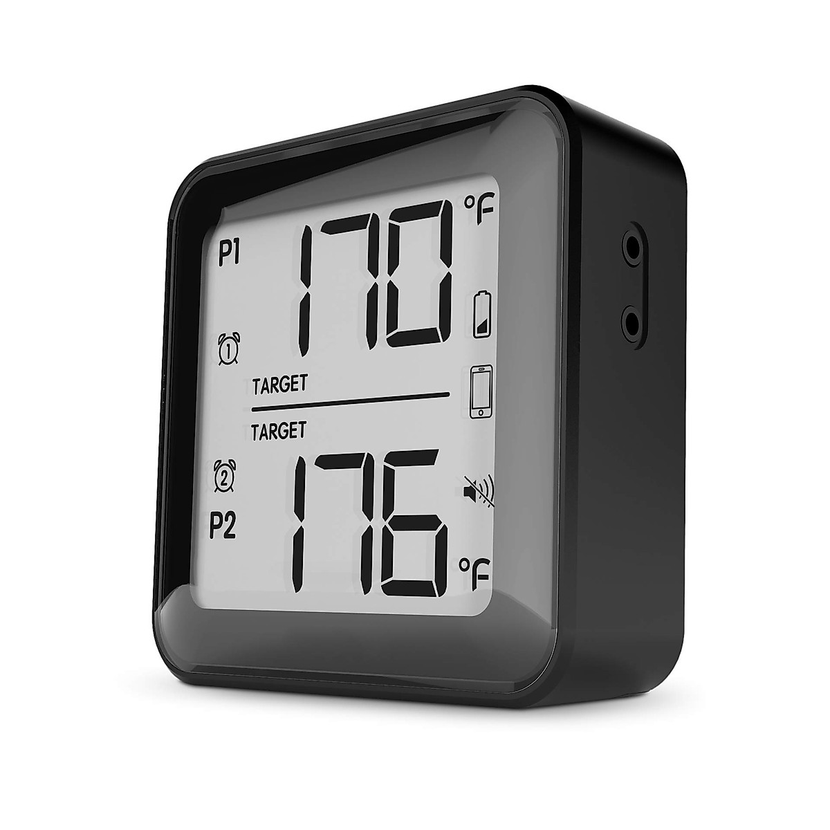 TempoChef Bluetooth Smart Meat Thermometer for Grill Oven and Smoker, Cooking Food and Control Temperature Smart, Dual Stainless Steel Probes