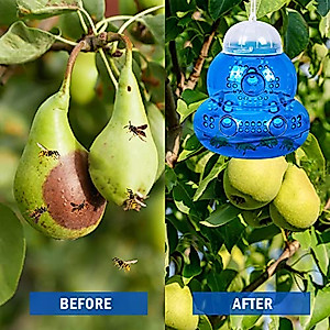 4 Pack Wasp Trap Outdoor Hanging, Yellow Jacket Killer, Carpenter Bee Traps for Outside, Bee Catcher Hornet Traps, Insects Bug Trap