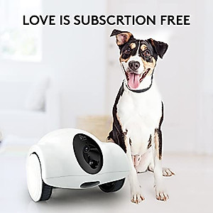 Smart Pet Camera, GULIGULI Movable Companion Robot for Pets, Dog Treat Camera, 1080P Full HD WiFi Pet Camera with Phone App, Night Vision, 2-Way Audio, No Monthly Fee (2.4G WiFi ONLY)