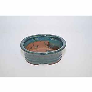 Bonsai Ceramic Pot 5" Oval Shape, Teal Color with draining Holes.