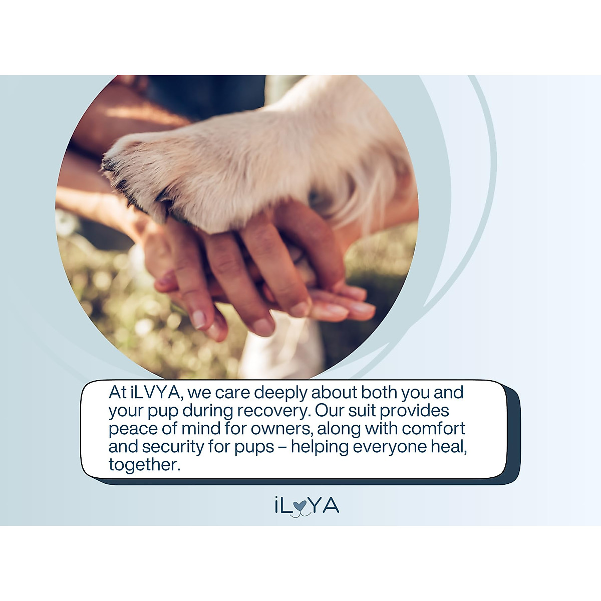 Dog Recovery Suit After Surgery - for Spay Neuter - with Washable Pads - Dog Onesie (Grey Medium)