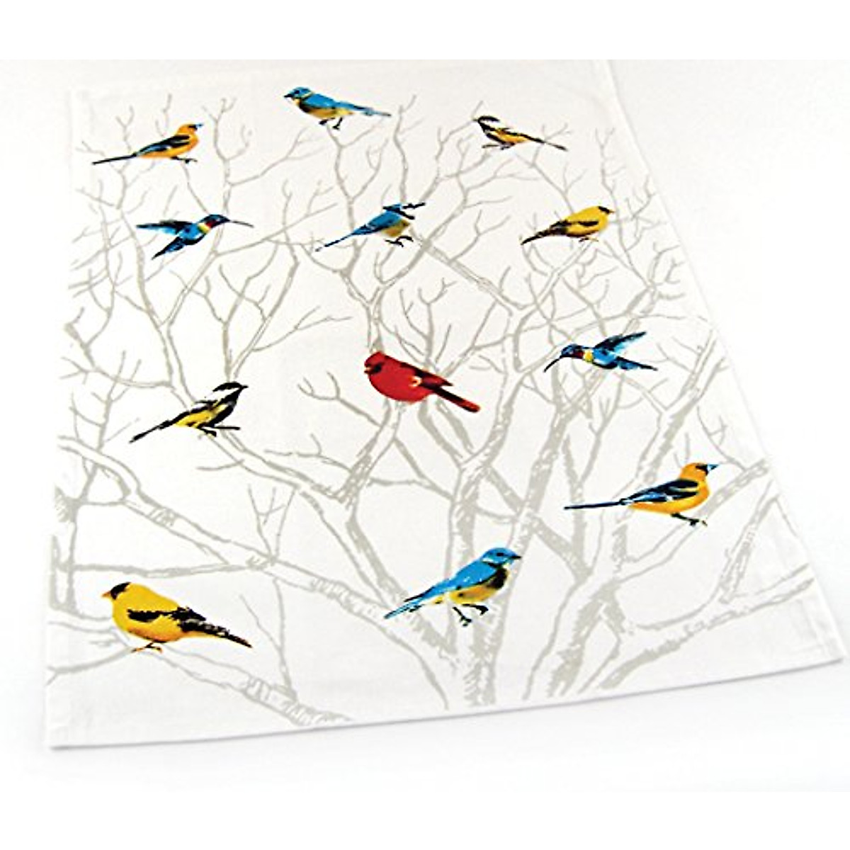 INDIA OVERSEAS Bird Watching Hand Towels: Colorful Artistic Wildlife Design, Set of 2