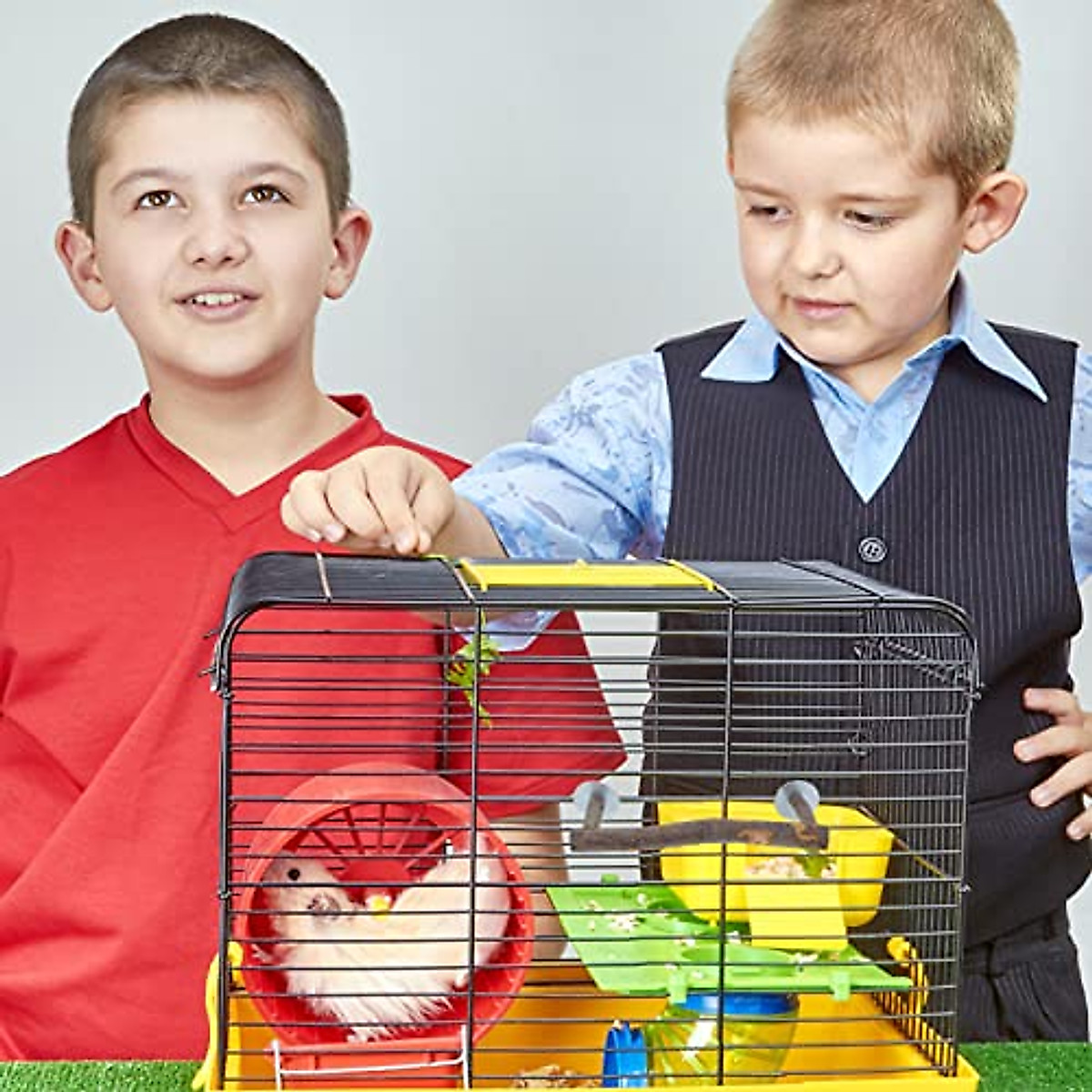 PATKAW Stand Cage Accessories Cage Accessories 2 Pieces Parrot Perches for Parrot Perches Wood Parrot Perches Parrot Medium Wood Water Bottle Accessories Water Jug Bird