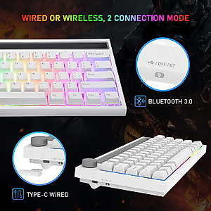 Bluetooth Mechanical Gaming Keyboard with 19 RGB Backlight Mini 61 Key Multimedia Knob Rechargeable 4400mAh Battery Type C Wired/Wireless for PC Mac Mobile Phone Gamer Typist (White/Blue Switch)