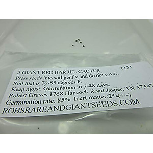 1151-Giant Red Barrel Cactus (ferocactus pilosus) Seeds by Robsrareandgiantseeds UPC0764425787808 Non-GMO,Organic,USA Grower,Bonsai,1151 Package of 5 Seeds
