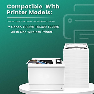 GREENBOX Remanufactured 260XL High-Yield Black Ink Cartridge Replacement for Canon 260XL 260 XL PG-260 XL for PIXMA TS5320 TS6420 TR7020 All in One Wireless Printer ( 400 Pages, 2 Black, 2-Pack )