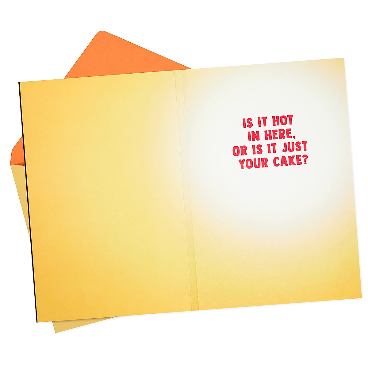 Hallmark Funny Birthday Card with Light and Sound (Birthday Cake Fire)