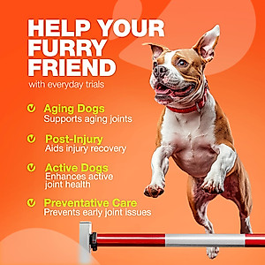 Glucosamine for Dogs - Joint Supplement for Dogs - Glucosamine Chondroitin Dog Chews with MSM - Dog Hip and Joint Supplement - Hemp Hip and Joint Chews for Dogs - Mobility, Skin & Coat Health Treats