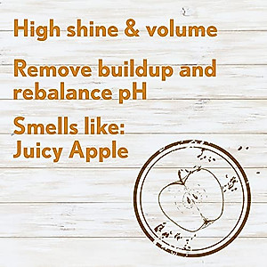 Aveeno Apple Cider Vinegar Shampoo + Conditioner for Balance & High Shine, Daily Clarifying & Soothing Scalp Shampoo for Oily or Dull Hair, Paraben & Dye-Free, 12 Fl Oz