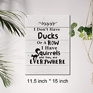 Funny Saying Quote Canvas Wall Art I Don’t Have Ducks Or A Row Canvas Print Squirrels Painting Wall Decor Framed Gift 12x15 Inch