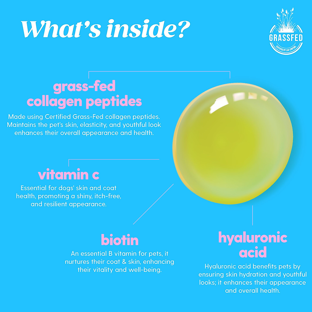 Skin and Coat Supplement for Dogs, Cats | Taily Liquid Collagen for Dogs | Itch Relief for Dogs with Allergies, with Grass Fed Collagen, Biotin, Vitamin C and Hyaluronic Acid | Made in USA