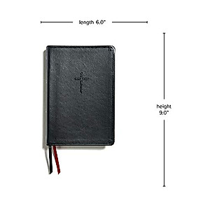 KJV Everyday Study Bible, Black LeatherTouch, Black Letter, Pure Cambridge Text, Study Notes and Comentary, Illustrations, Aricles, Charts, Easy-to-Carry, Easy-to-Read Bible MCM Type