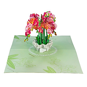 WOWPAPERART Orchid Flower - 3D Pop Up Greeting Card For All Occasions - Love, Birthday, Christmas - Blank Inside for Personalized - Thick Envelope - 5x7 In