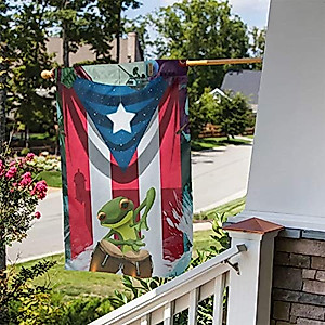 Home Decorative Garden Flag, Farmhouse Outdoor Small Flag Puerto Rico Frog Flag