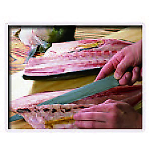 SEJONG COOK Quality Sushi Knife for Sushi Sasimi, Yanagiba, Cutting Fish California Roll, Durable Stainless Steel Knife for Chef. (280mm, 11 Inch)