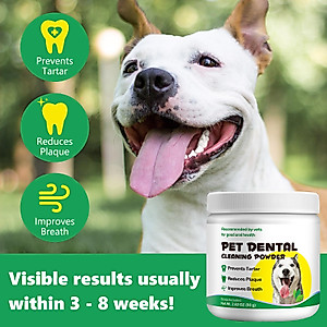Dog Teeth Cleaning Powder，Dog Dental Powder，Dog Breath Freshener Powder with Probiotics for Bad Breath, Plaque, Tartar Remover - Dental Supplies - 80g