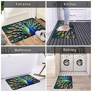 FRESQA Beautiful Peacock Print All-Season Indoor Outdoor Doormat,Multi-Functional and Stylish Home Decor