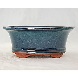 1 Pcs 6.25" Oval Green Stain Bonsai / Succulent Pot + Soil + Tray + Rock + Mesh Kit