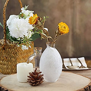 Craft and Party, Craft Glitter for Craft and Decoration 1 Pound Bottled (Ultra Fine - 1/128", 0.008", 0.2mm, Iridescent)