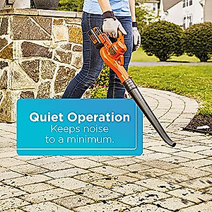 BLACK+DECKER 40V MAX* Cordless Sweeper (LSW40C)