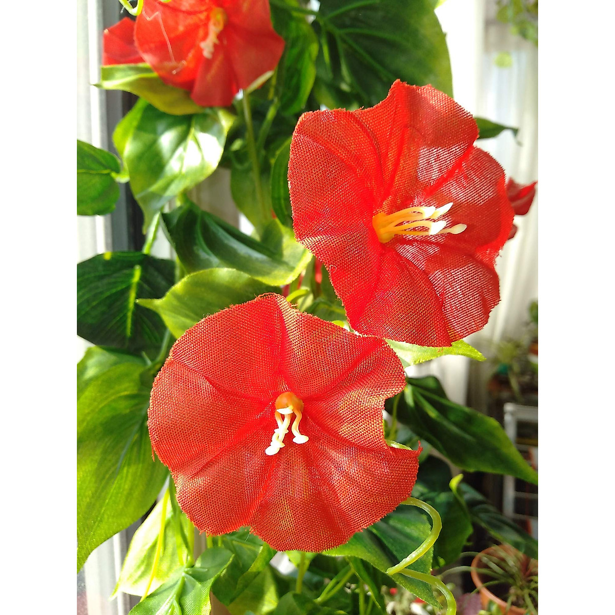 AirSun Artificial Morning Glory Flower Vines, 2pcs 15Feet Hanging Plants Silk Garland Fake Green Plant Home Garden Wall Fence Indoor Outdoor Wedding Birthday Decor (Red)