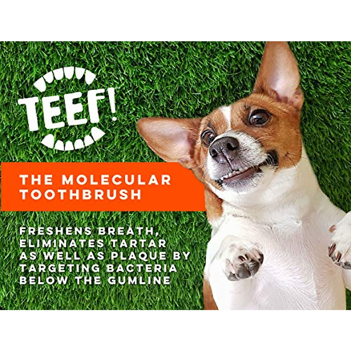 TEEF! Daily Dental Care – Natural Dog Dental Water Additive, 30 Day Supply – Award Winning Formula Fights Plaque and Tartar – No Brushing, Add to Water Bowl – Say Hello to Healthier Gums