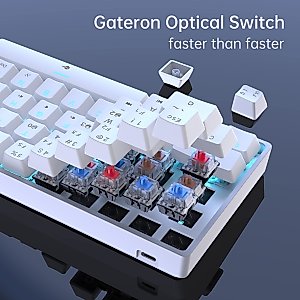 DIERYA DK61E 60% Percent Mechanical Gaming Keyboard, Optical Red Linear Switch, PBT Keycap, RGB Backlit, Waterproof, Wired USB C Mechanical Keyboard with Full Keys Programmable