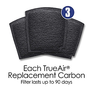 Hamilton Beach 04231GW, 3 Count (Pack of 1)