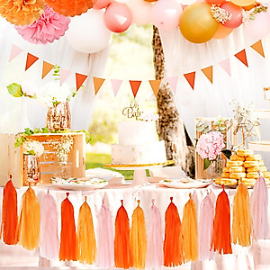 Pink-Orange Groovy Party-Decorations Pom-Poms Streamers - 23pcs Fall Autumn Thanksgiving Harvest Tissue Tassel Garland Banner,Birthday Baby Bridal Shower Engagement Wedding Decor Lasting Surprise