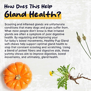Glands Bowel Support - 120 Delicious Scoot Soft Chews for Scooting, Healthy Anal Glands, and Digestive Health - Made with Pumpkin Powder for Dogs