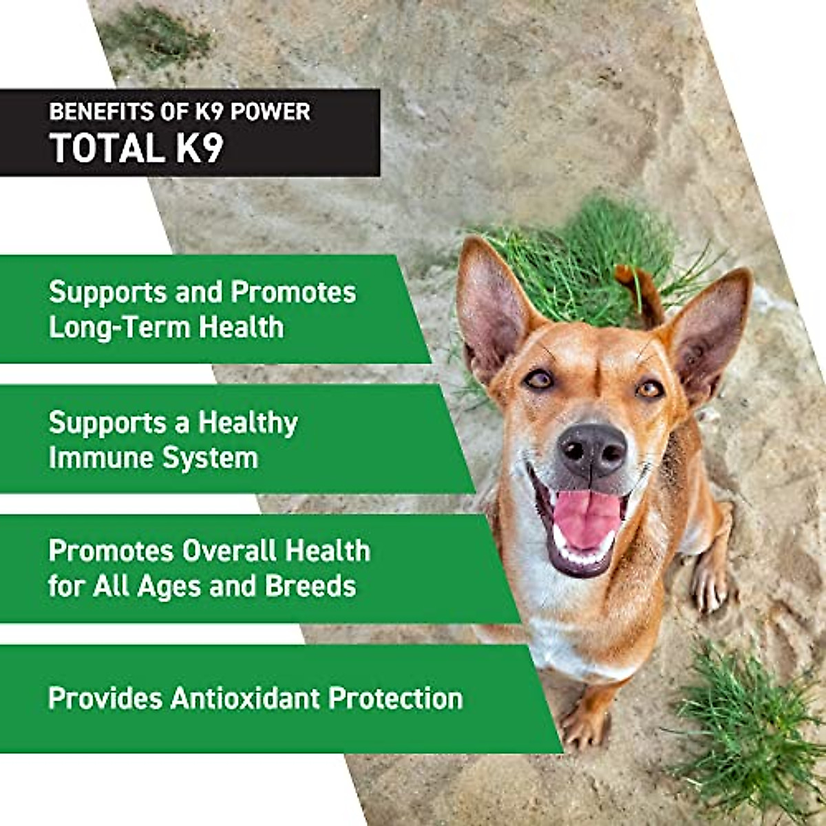 K9 Power Total K9 for Dogs 1lb - Supports Joint Health - Boosts Immune Function -Enhances Muscle Strength - Promotes a Healthy Coat
