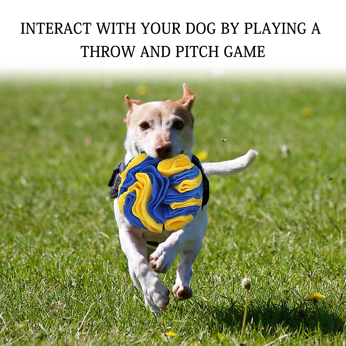 WishLotus Dog Snuffle Ball, Interactive Dog Toys Ball, Dog Brain Stimulating Puzzle Toys for Dogs, Enrichment Game Feeding Mat Slow Feeder Stress Relief Toy (Yellow+Blue)