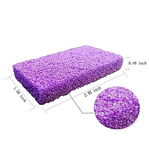 70 PCS Pedicure Exfoliator Kit Set 40 PCS Disposable Pedicure Pumice Stone for Foot Care Sponge Scrubber Callus Purple Coarse Dead Skin Remover 30 PCS Pedicure Nail Files (Pack of 70)