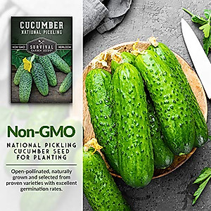 Survival Garden Seeds - National Pickling Cucumber Seed for Planting - Packet with Instructions to Plant and Grow Cucumis Sativus in Your Home Vegetable Garden - Non-GMO Heirloom Variety