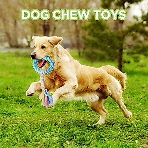 4 PCS Chew Toys for Teething, Soft Rubber Puppy Chew Toys, Puppy Teething Ring, Rope Dog Toys, Funny Interactive Toy for 2-8 Months Teething Small Dogs