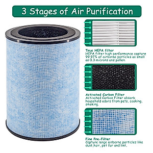 Asheviller AP300 Filter Replacement, Compatible with Instant® AP300 Air Purifier, H13 Grade True HEPA Filter and Activated Carbon Filter, Compare to F300 Filter,2 Pack
