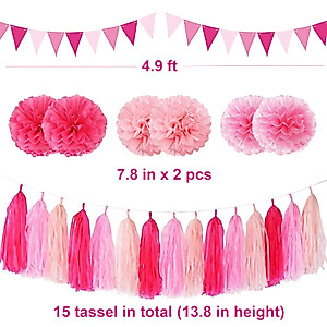 Cmaone Hotpink Party Decorations Pink Girls Paper Fan Birthday Baby Shower Tissue Pom Poms Streamers Bachelorette Party Supplies Tassel Garland Banner Wedding Decor