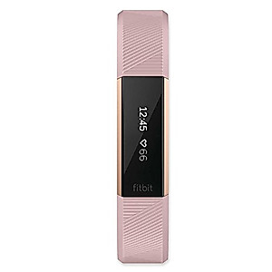 Fitbit Alta HR and Alta Classic Accessory Band (Pink, Large)