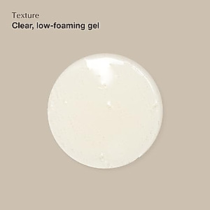 Aesop Classic Shampoo - Hydrates and Softens Hair - Mild Blend of Cedarwood Bark and Juniper Berry Oils - 16.9 oz