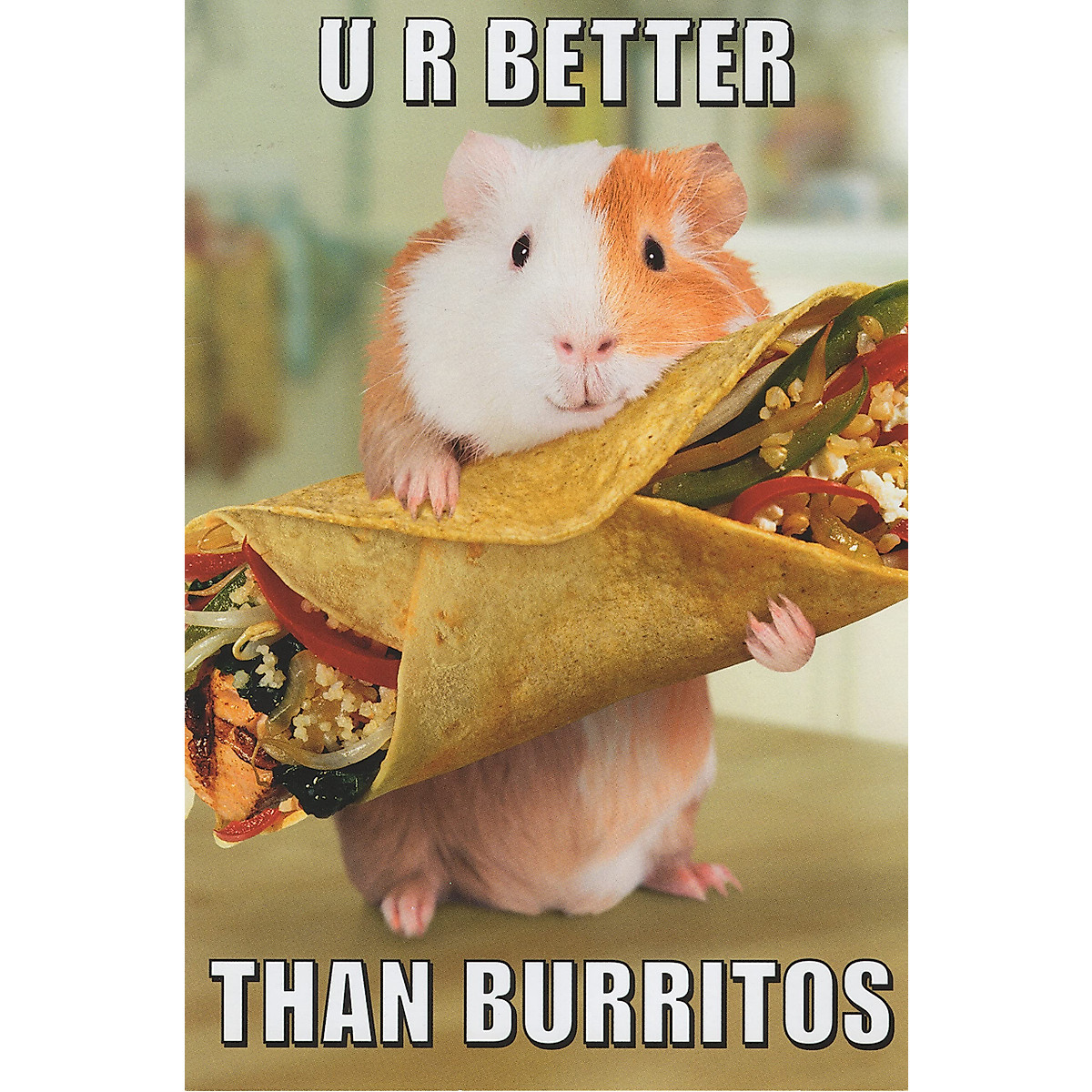 Heartline Funny Guinea Pig Holding a Burrito Happy Birthday Card - U R Better Than Burritos and, Honestly - I Didn't Even Think That Was a Thing.
