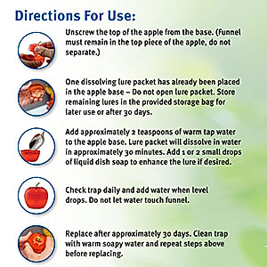 Raid Fruit Fly Trap for Indoors | Effective Fly Killer | Insect Catcher | Fruit Fly Killer & Gnat Traps for House Indoor | Easy to Use & 120 Day Food-Based Lure Fly Catcher (2 Pack)